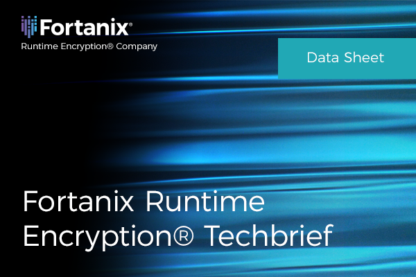 Runtime Encryption™ Platform