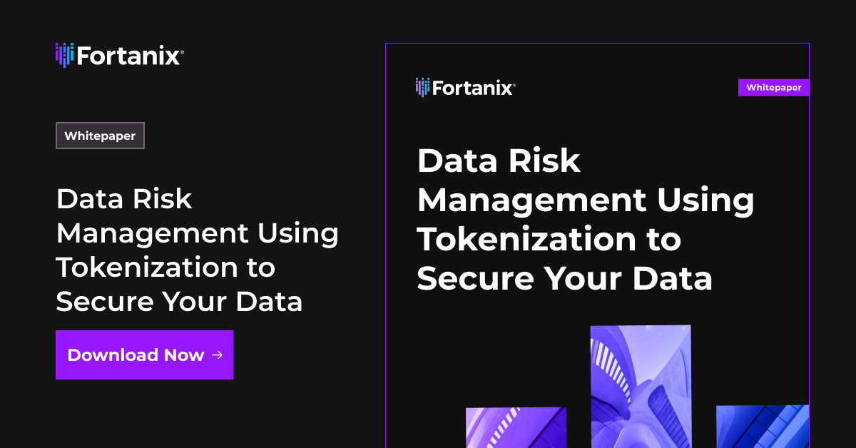 Data Risk Management Using Tokenization to Secure Data | Whitepaper